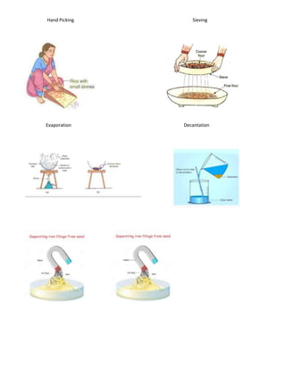 Hand Picking Sieving.docx