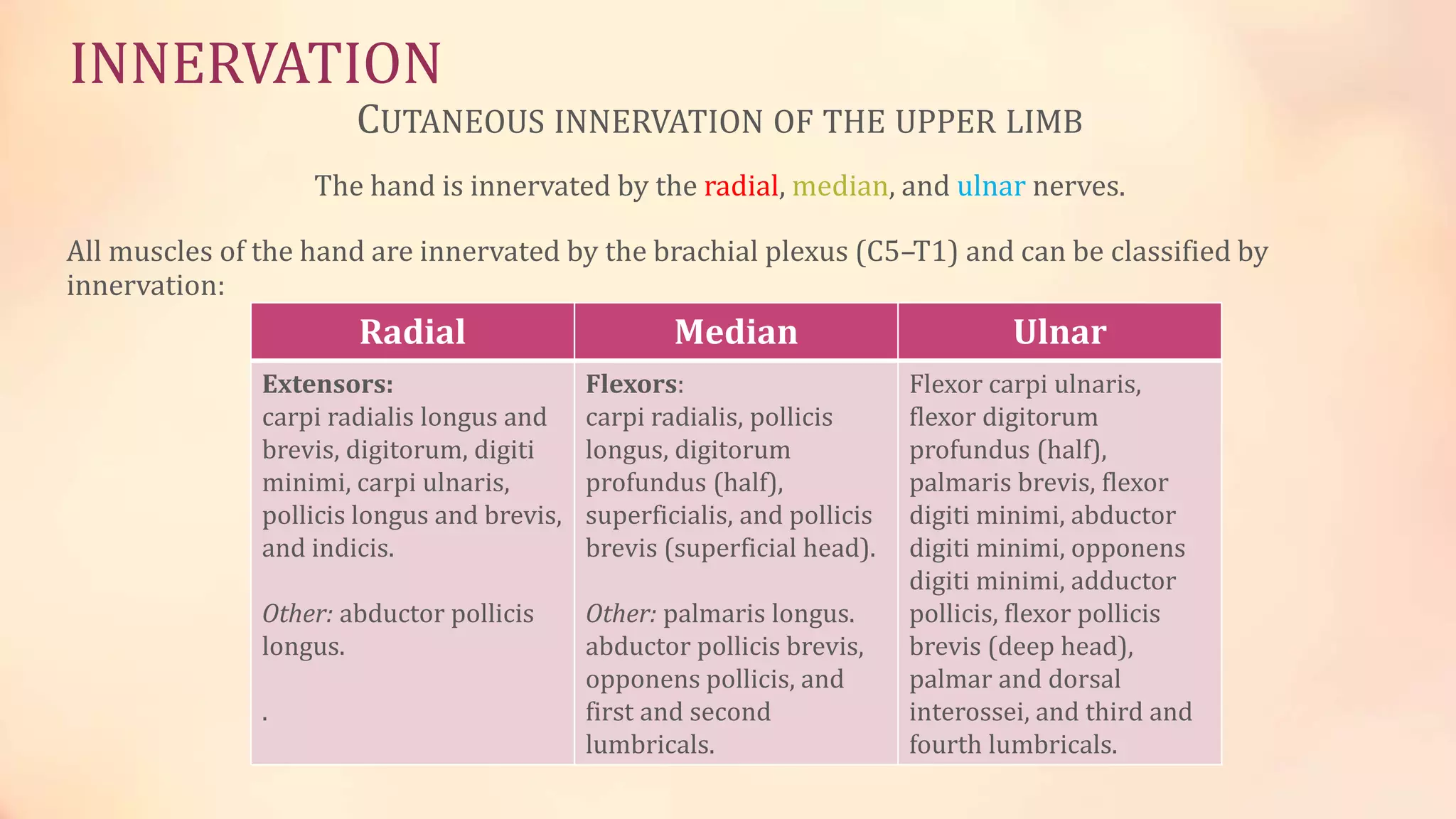 Structures of the Hand PPT | PPTX