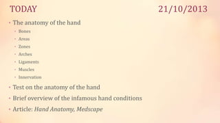 Structures of the Hand PPT | PPTX
