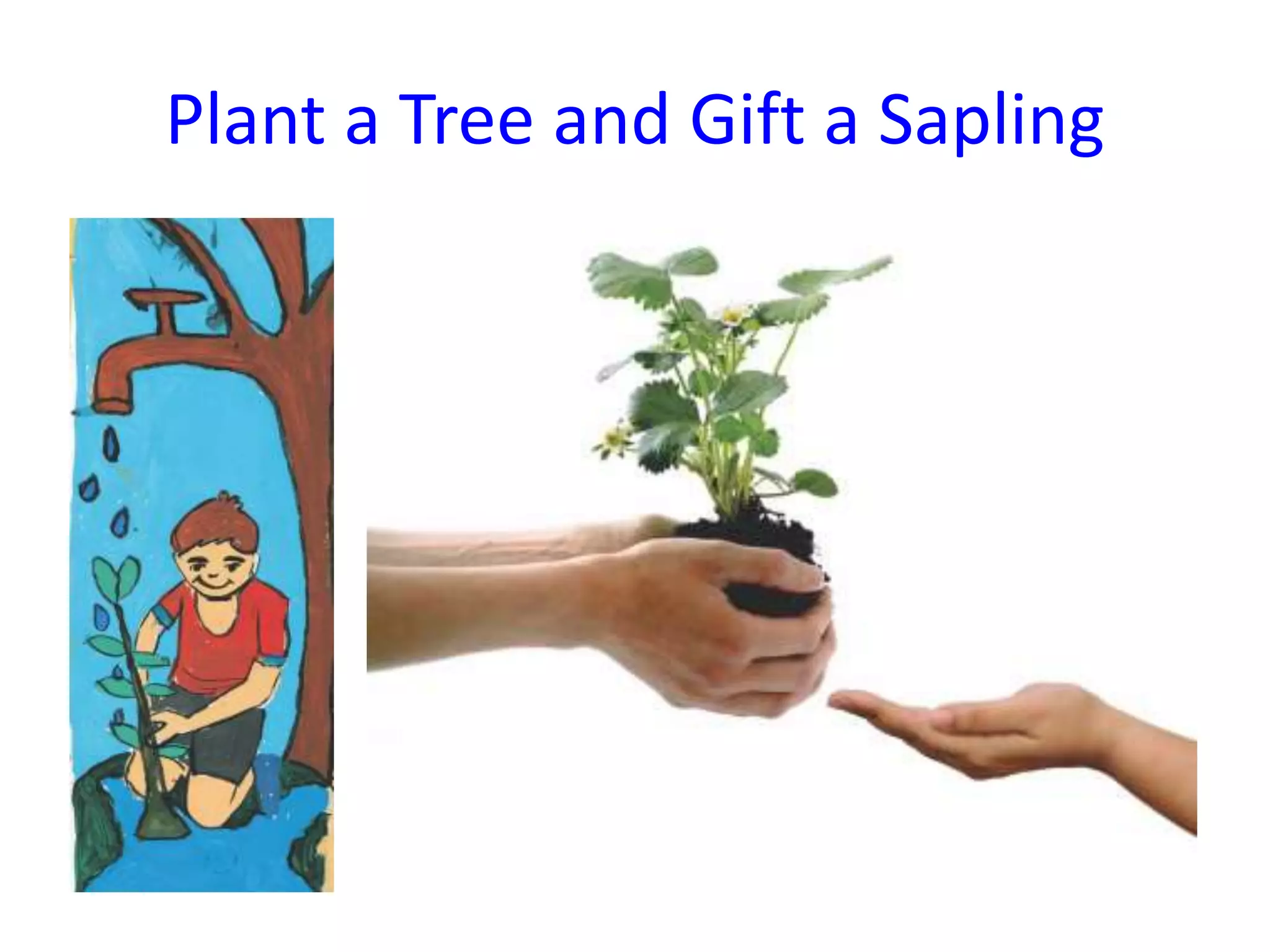 Handprint activities and sustainability | PPTX