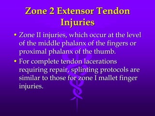 Extensor tendons injury repair and rehabilitation | PPTX