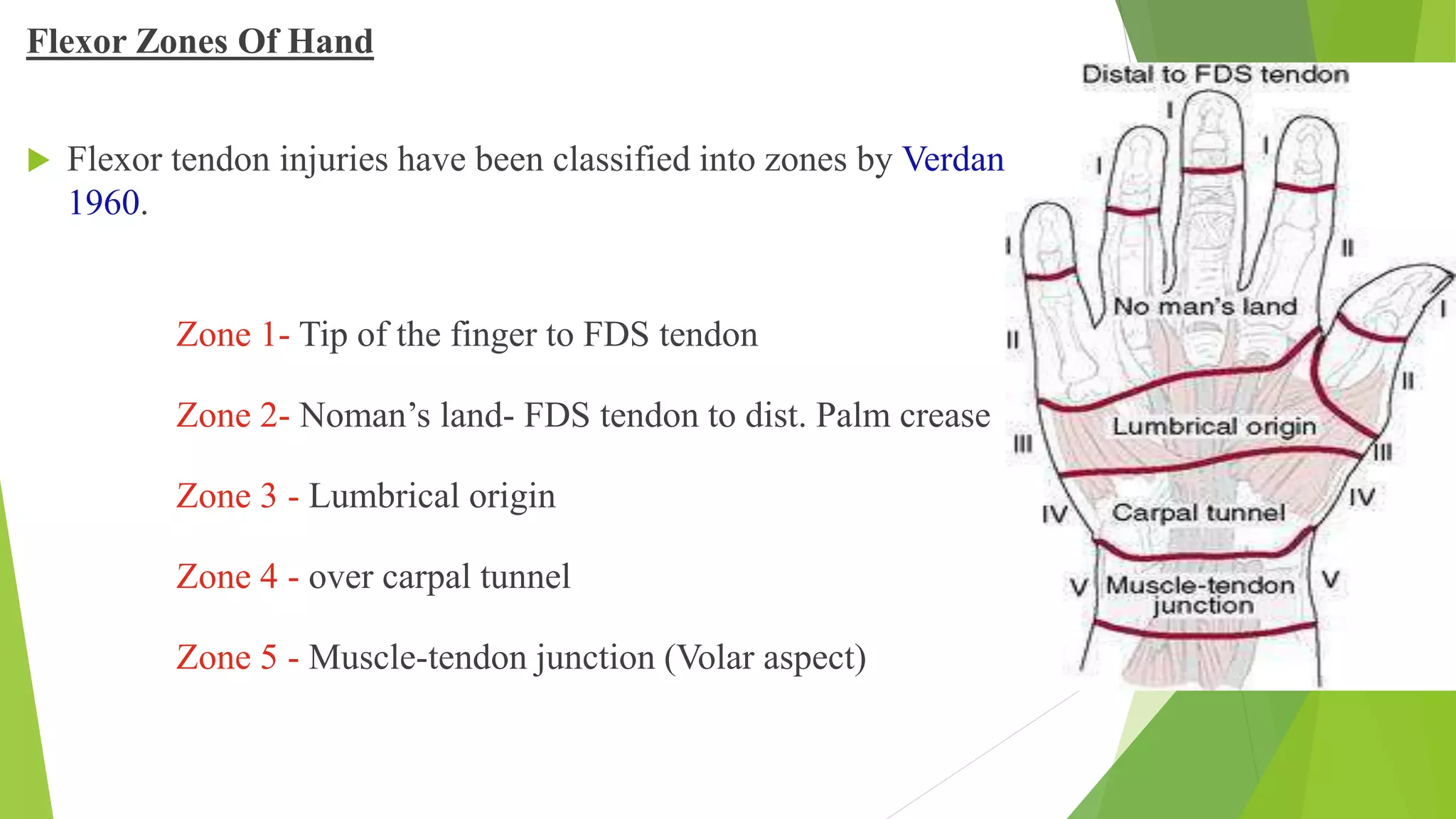 Hand rehabilitation following flexor tendon injuries | PPTX