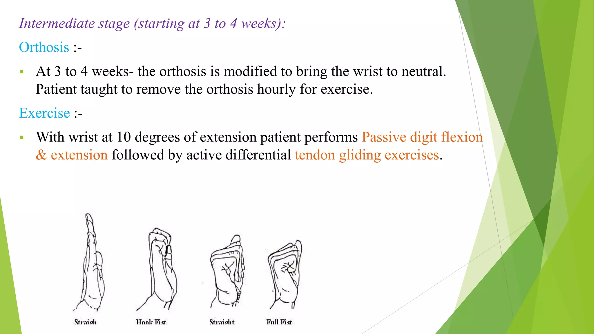 Hand rehabilitation following flexor tendon injuries | PPTX