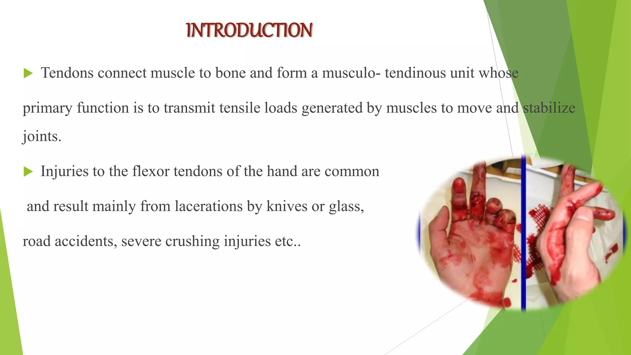 Hand rehabilitation following flexor tendon injuries | PPTX
