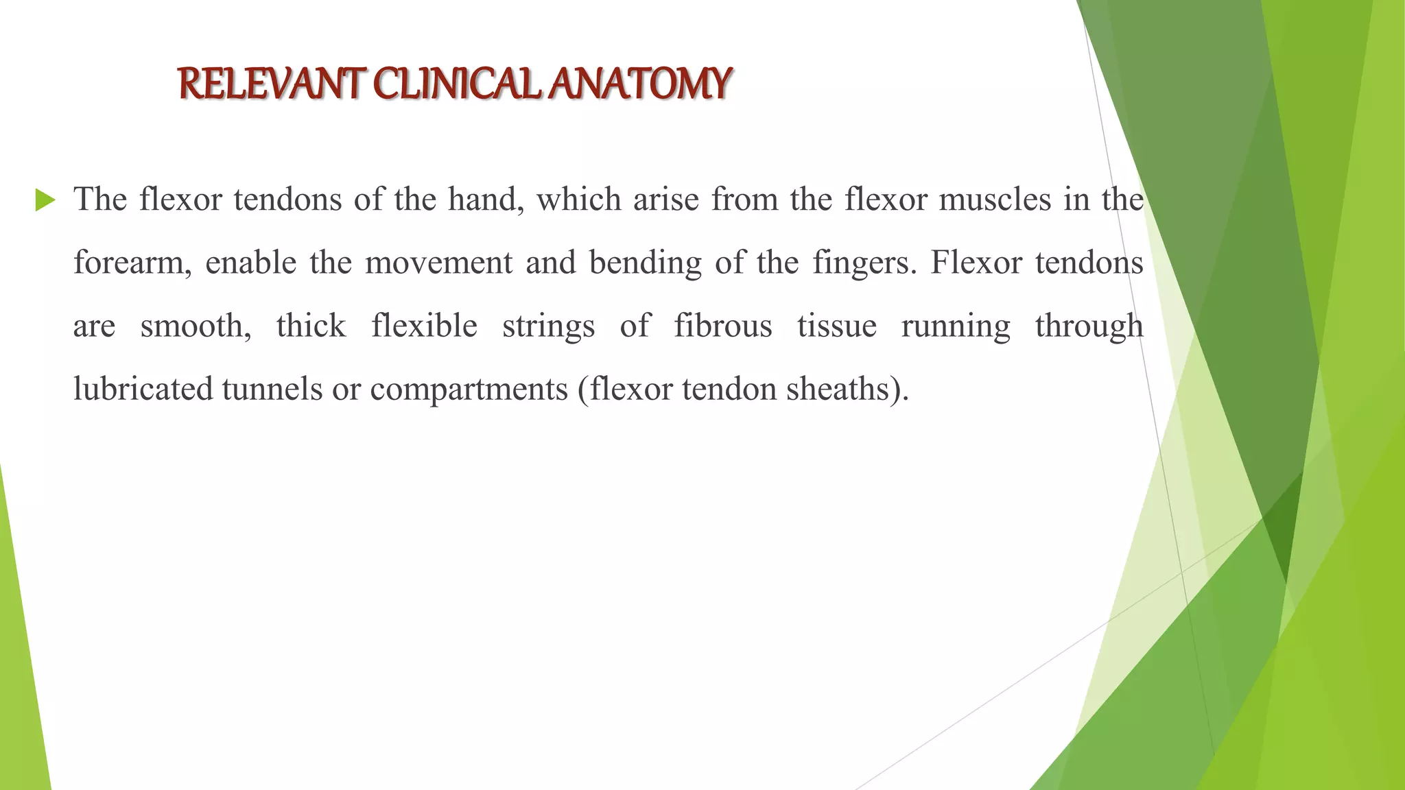 Hand rehabilitation following flexor tendon injuries | PPTX