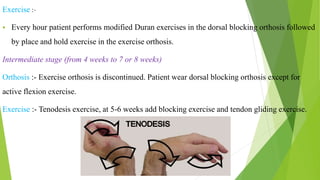 Hand rehabilitation following flexor tendon injuries | PPTX