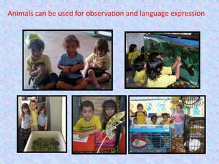 Hands on minds-on preschool presentation one goal 2013 | PDF
