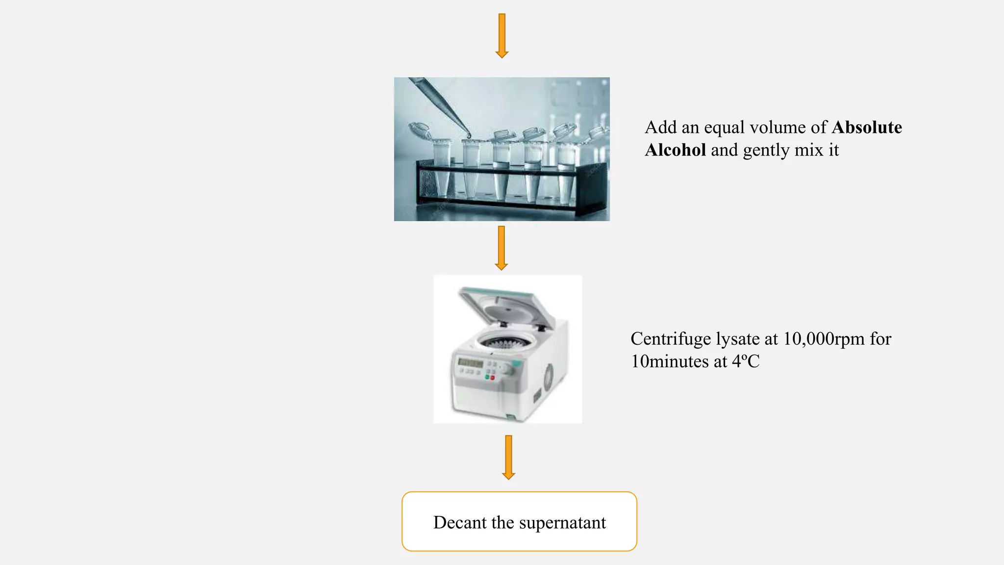 Isolation of genomic DNA from Animal Tissue | PPTX