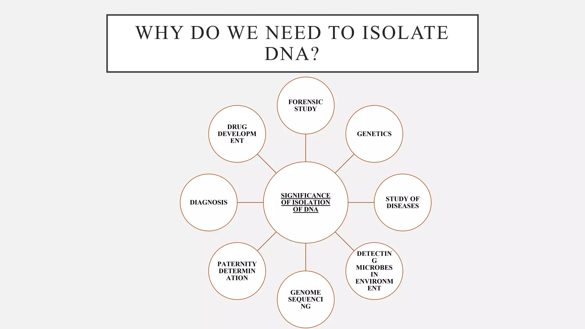 Isolation of genomic DNA from Animal Tissue | PPTX