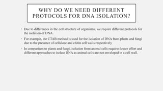 Isolation of genomic DNA from Animal Tissue | PPTX