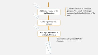 Isolation of genomic DNA from Animal Tissue | PPTX