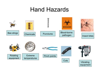 Importance of hand safety Safety ur hand | PPT