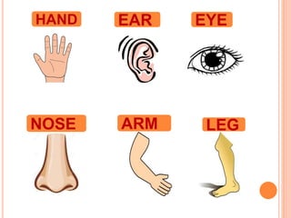 Hands and head 1 grade(1).pptx