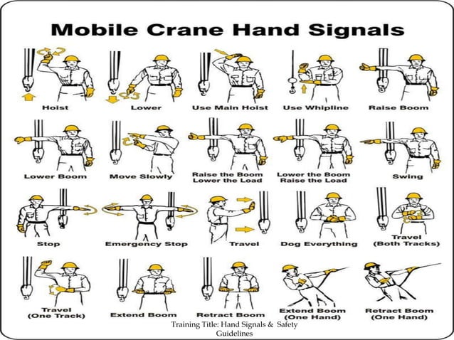 Hand signals & safety guidelines | PPTX