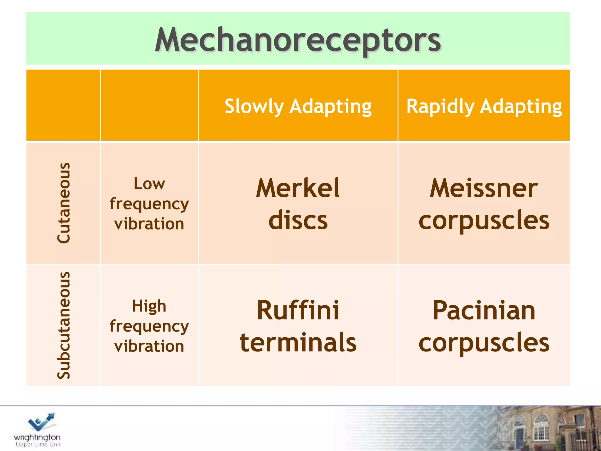 FRCS Revision - Brachial Plexus & Hands | PPTX