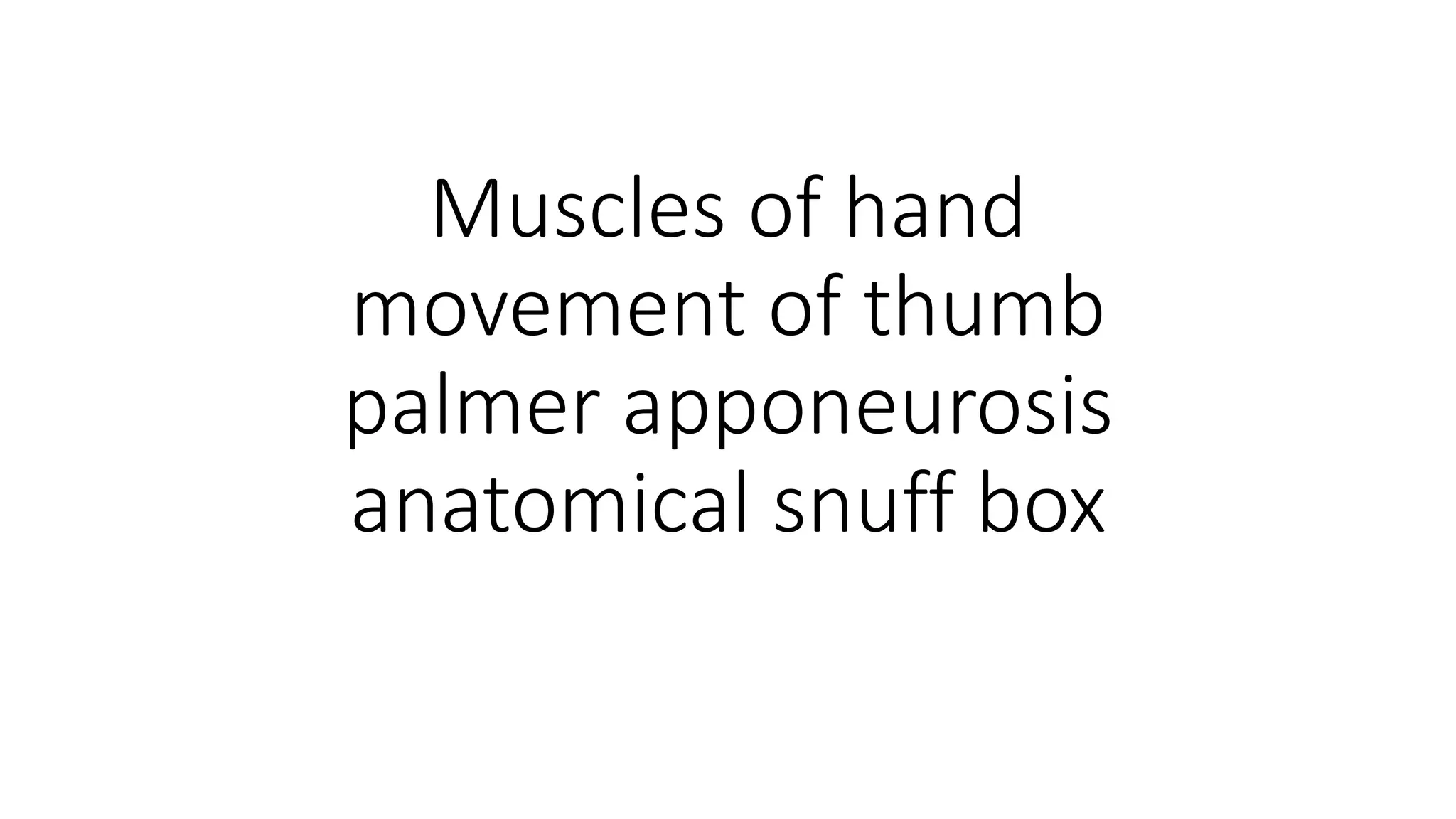 HAND SNUFF BOX (1).pptx