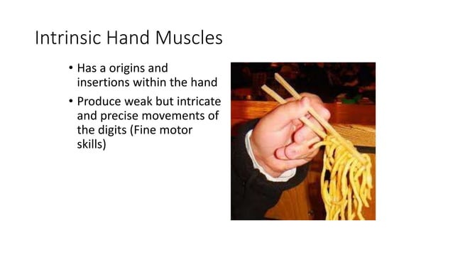 HAND SNUFF BOX (1).pptx | Death, Injury, or Military Conflict ...