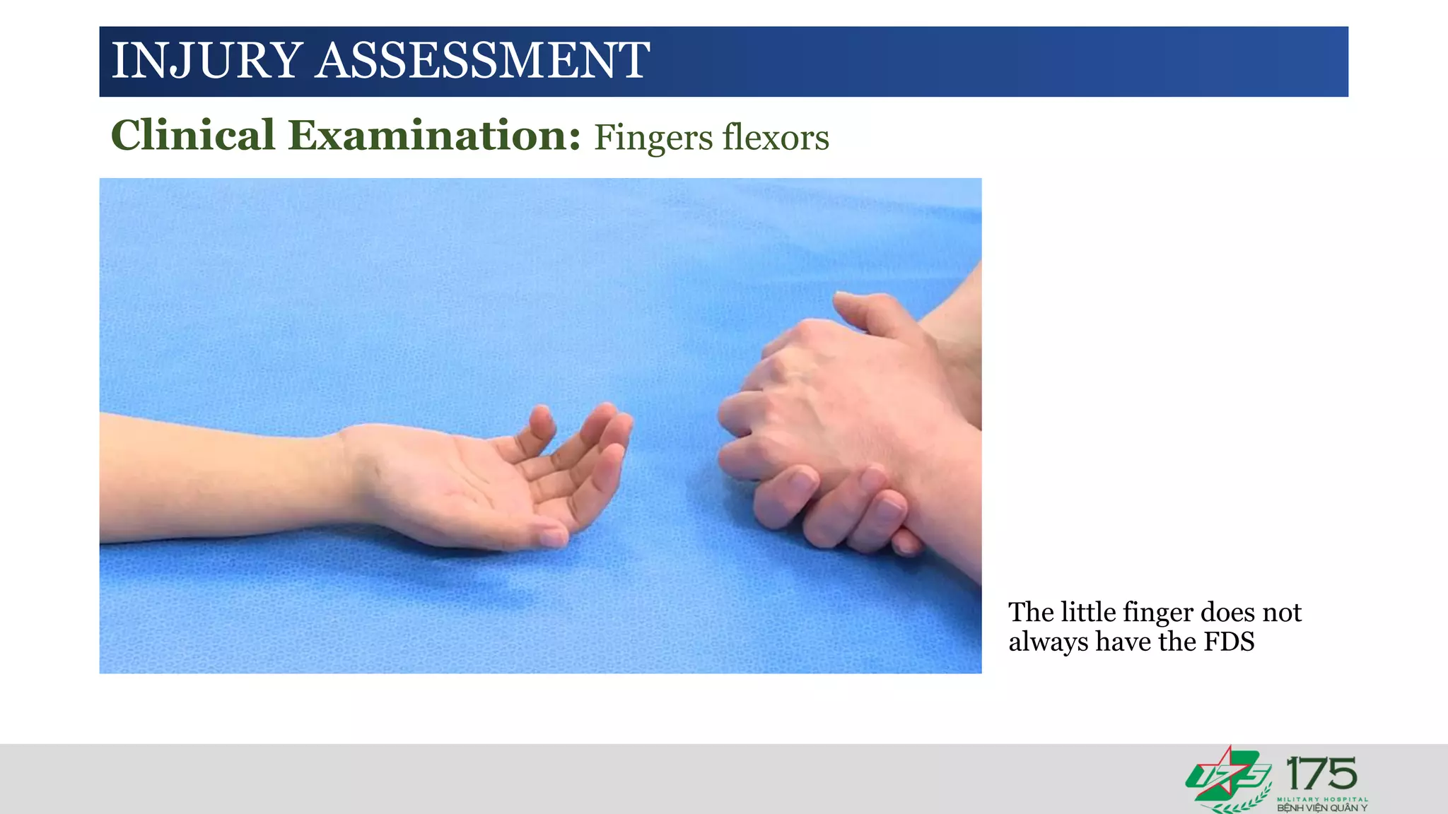 Hand Soft Tissue Injuries | PPT