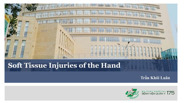 Hand Soft Tissue Injuries | PPT
