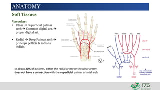 Hand Soft Tissue Injuries | PPT