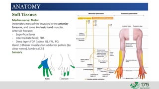 Hand Soft Tissue Injuries | PPT