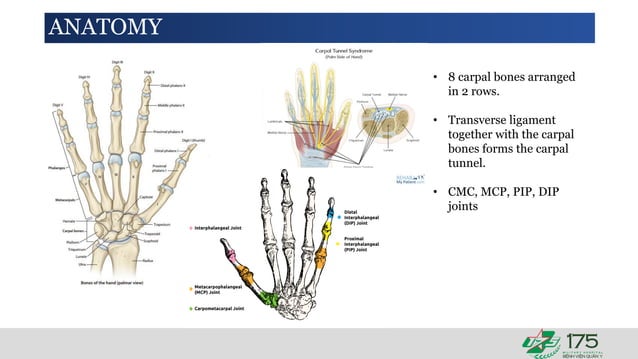 Hand Soft Tissue Injuries | PPT