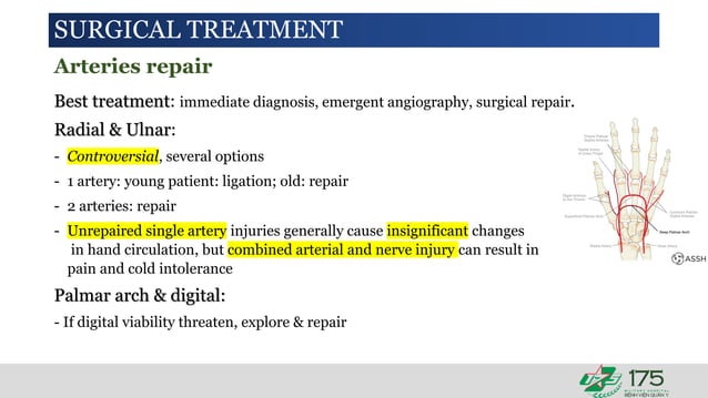 Hand Soft Tissue Injuries | PPT
