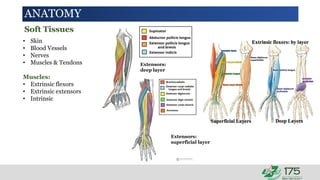 Hand Soft Tissue Injuries | PPT