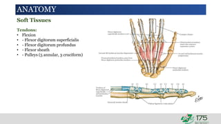 Hand Soft Tissue Injuries | PDF