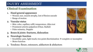 Hand Soft Tissue Injuries | PPT