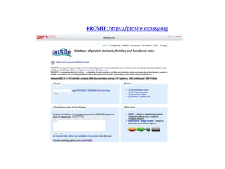 Hands on training_biological_databases.ppt