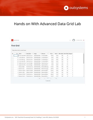 Hands on With Advanced Data Grid | PDF