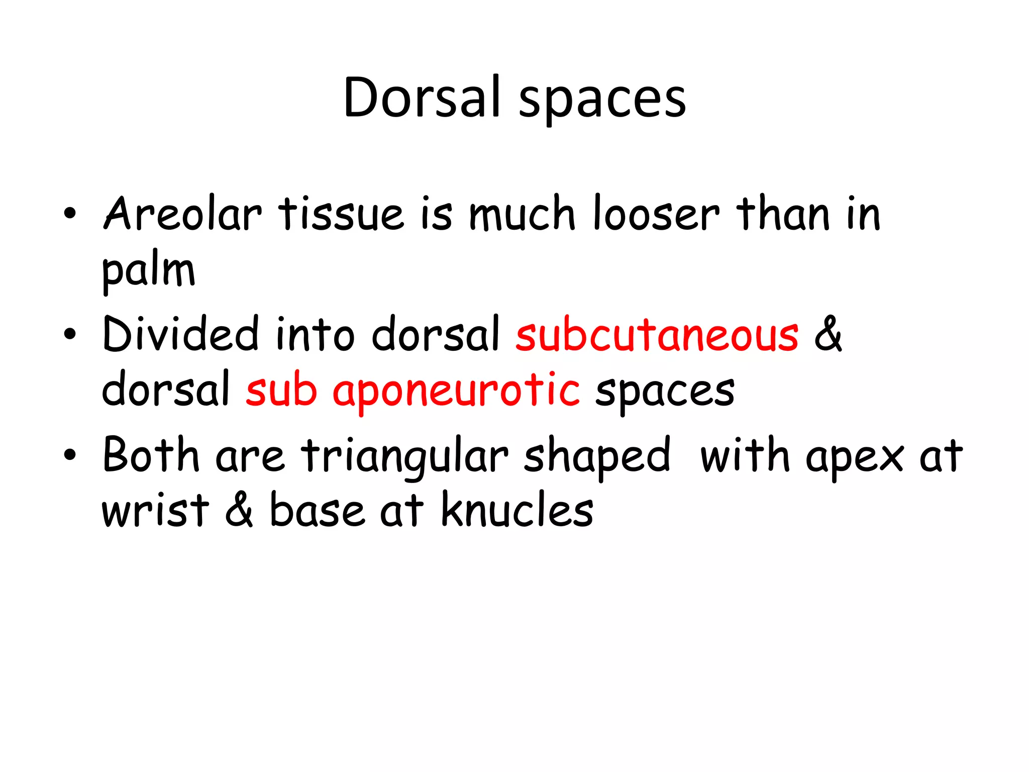 Hand spaces anatomy & infections | PPTX