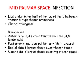 Hand spaces anatomy & infections | PPTX