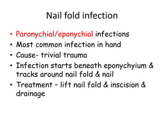Hand spaces anatomy & infections | PPTX