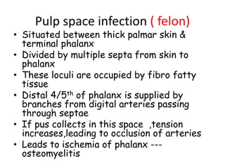 Hand spaces anatomy & infections | PPTX