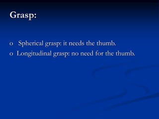 Hand splints | PPT