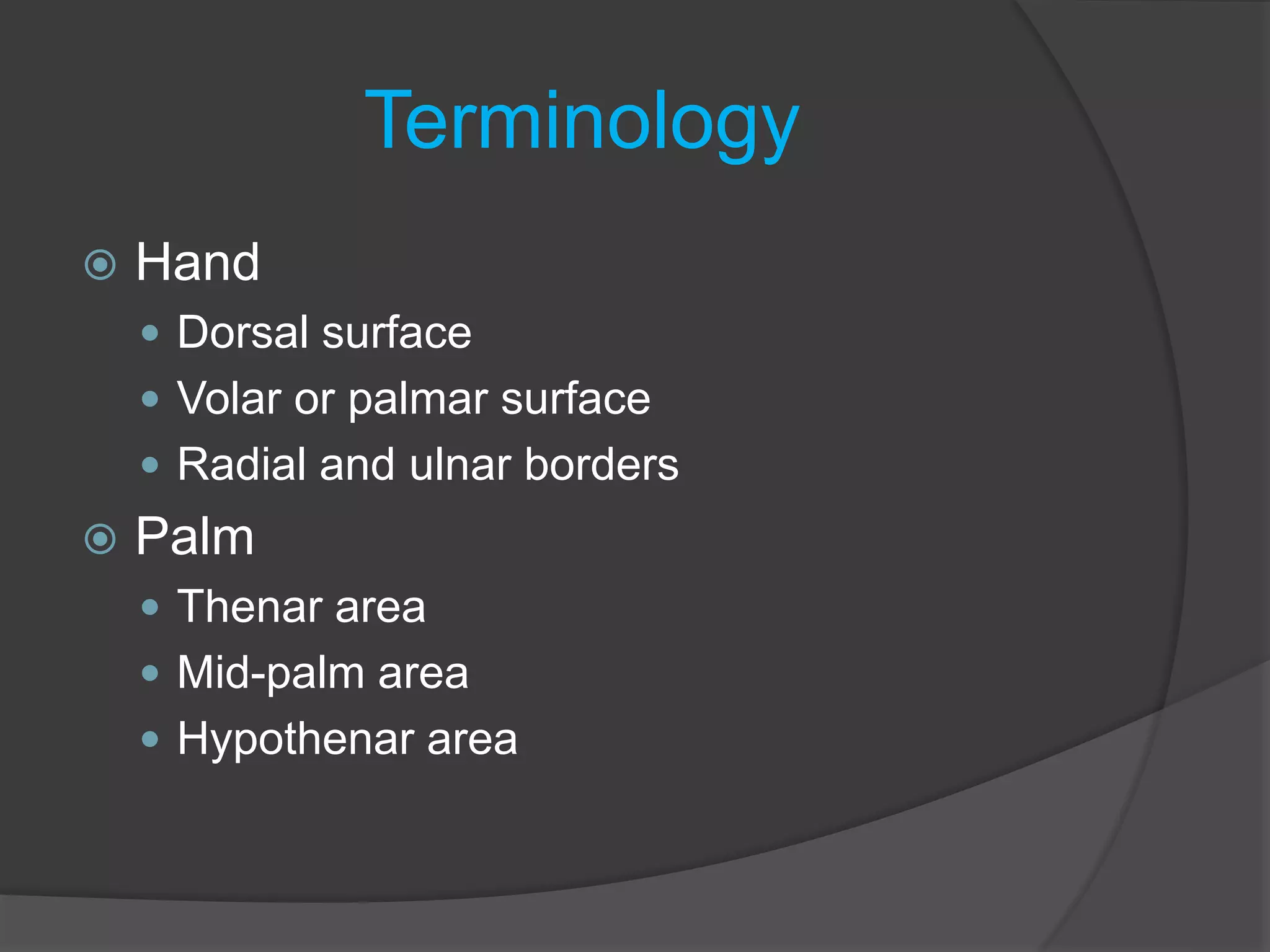 Detailed Hand surgical anatomy by mohamed abdelhady | PPTX