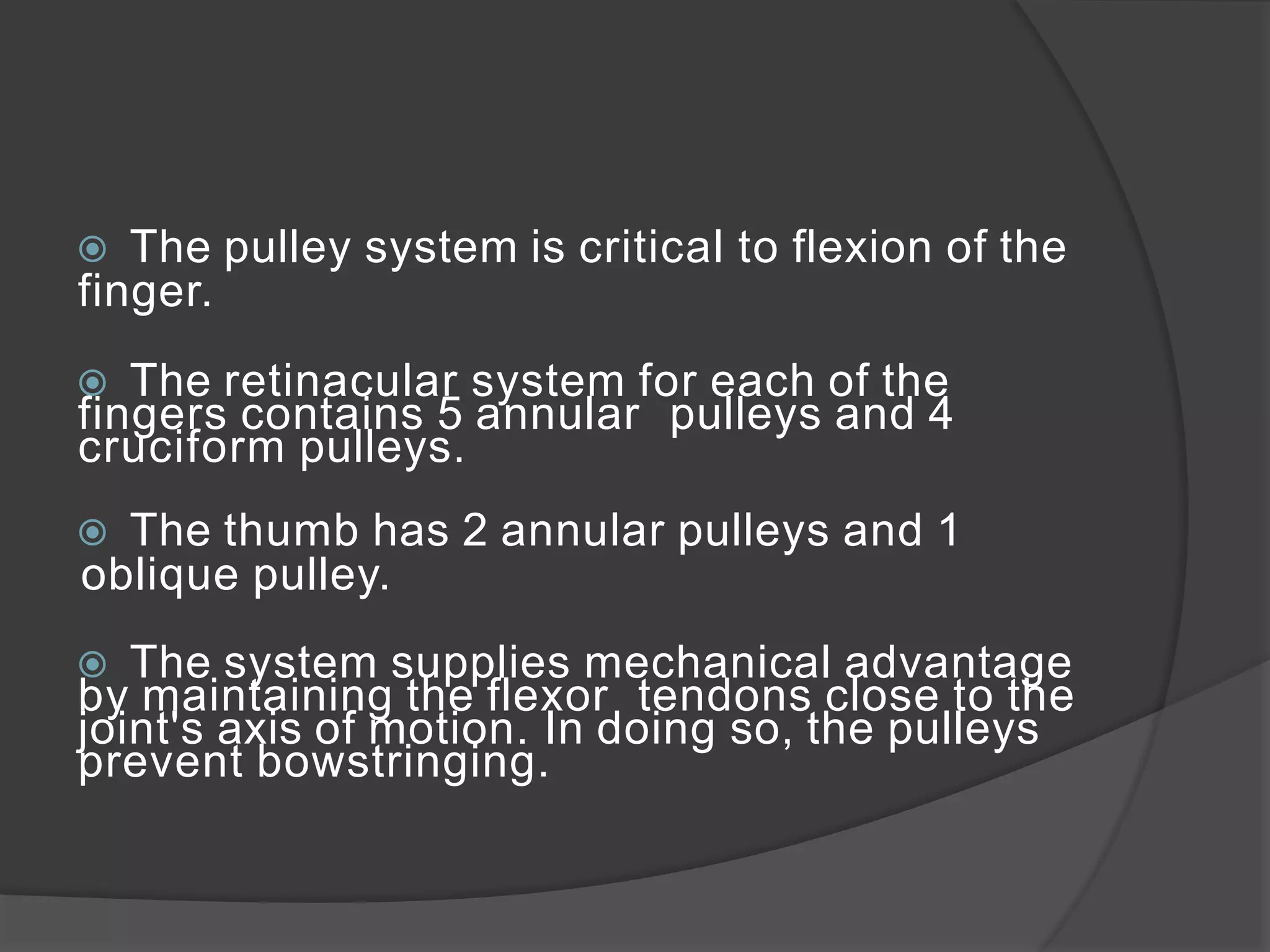 Detailed Hand surgical anatomy by mohamed abdelhady | PPTX
