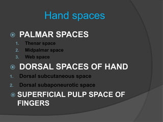 Detailed Hand surgical anatomy by mohamed abdelhady | PPTX