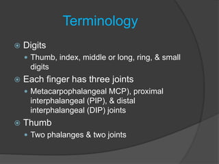 Detailed Hand surgical anatomy by mohamed abdelhady | PPTX