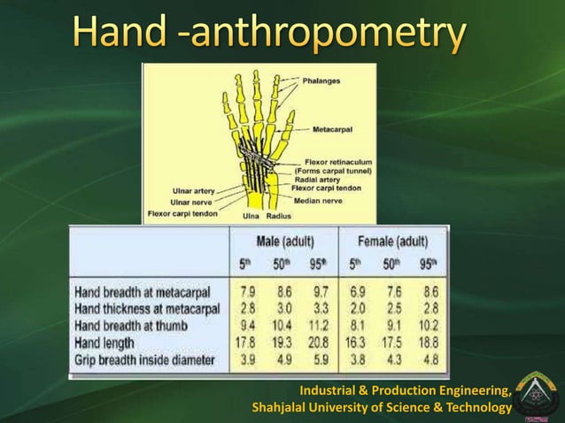 Hand tool design for ergonomics | PPTX | Injuries | Diseases and Conditions