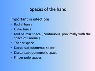 Hand trauma - soft tissue injuries overview ,principles of management ...