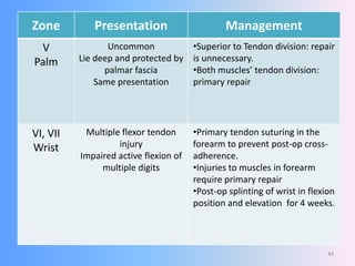Hand trauma - soft tissue injuries overview ,principles of management ...