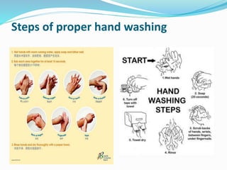Handwashing | PPTX