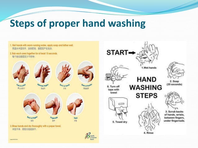 Handwashing | PPTX | Infectious Diseases | Diseases and Conditions