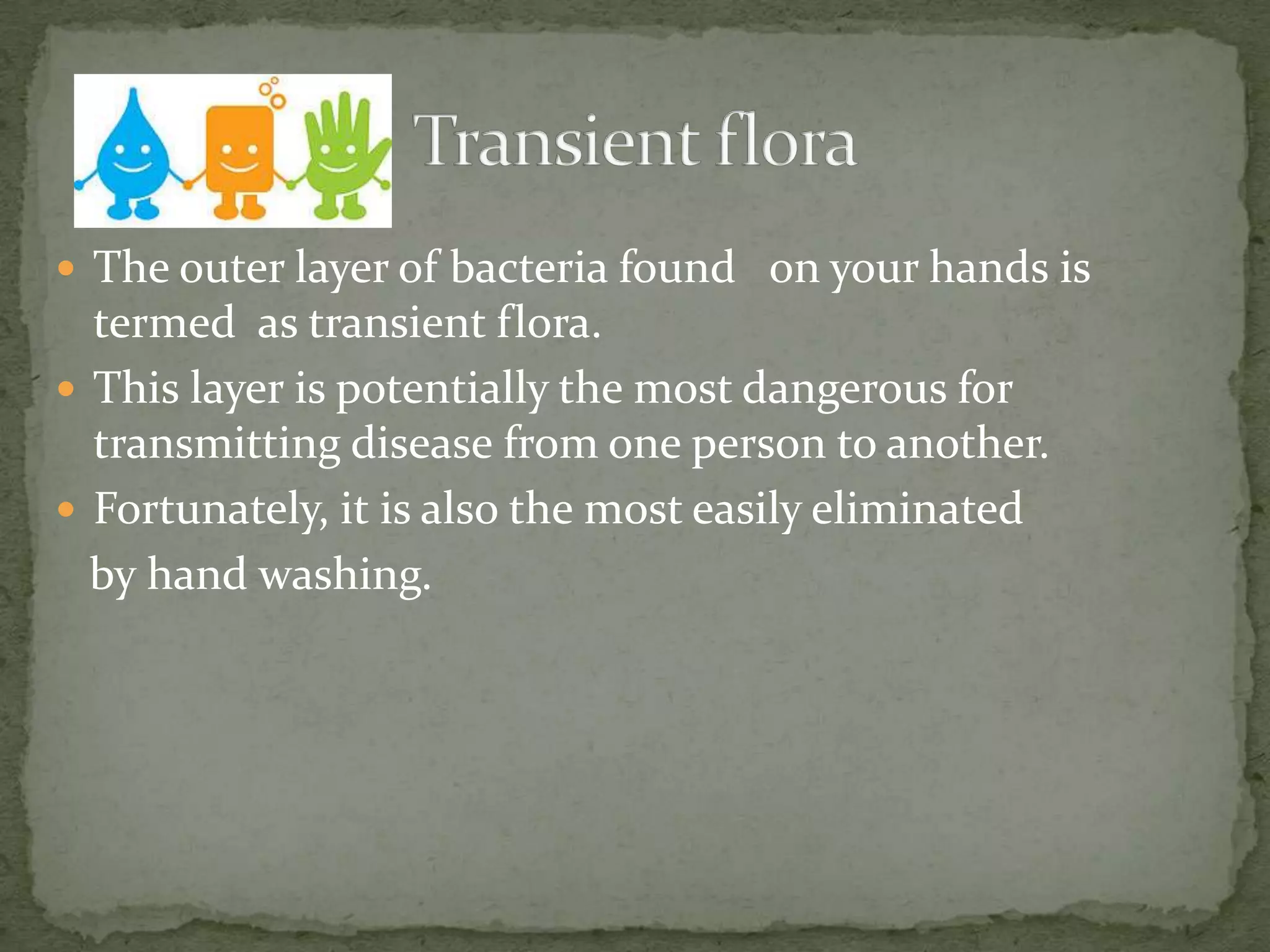 Hand washing | PPTX
