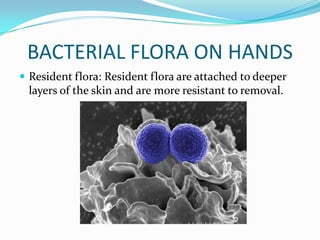 Hand washing 2 | PPT