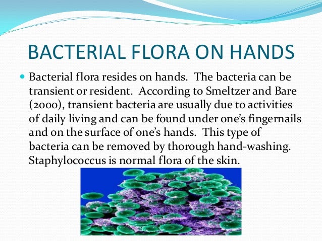 Hand Hygiene