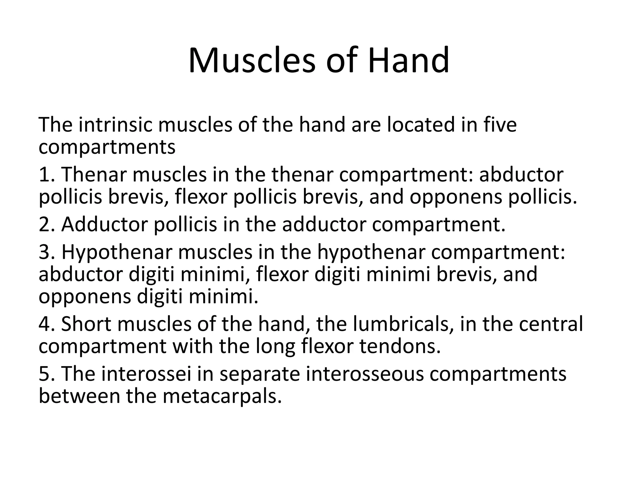 Hand, wrist and forearm gross anatomy .pptx